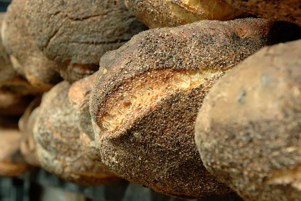 È la cittadina del pane IGP alle porte di Roma: cosa vedere, cosa ...