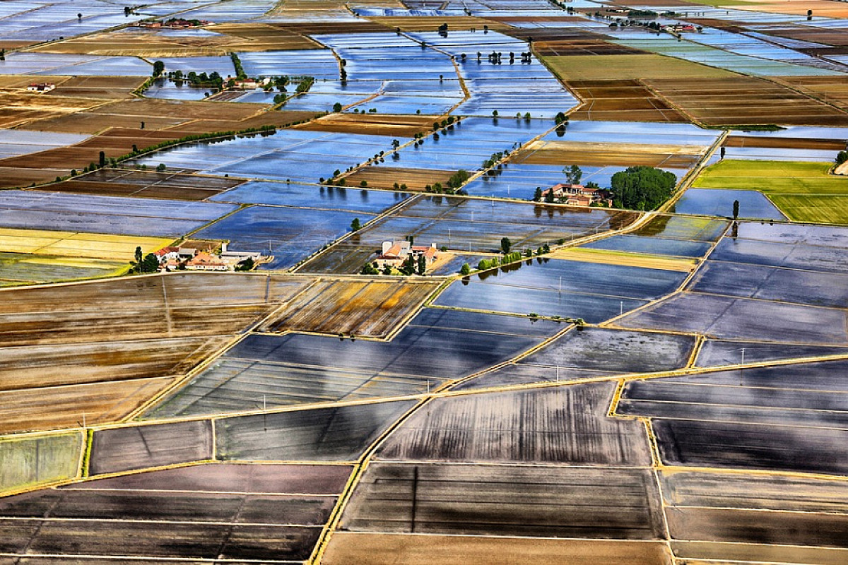 Il triangolo del riso, tra Novara e Vercelli | Paesi del Gusto