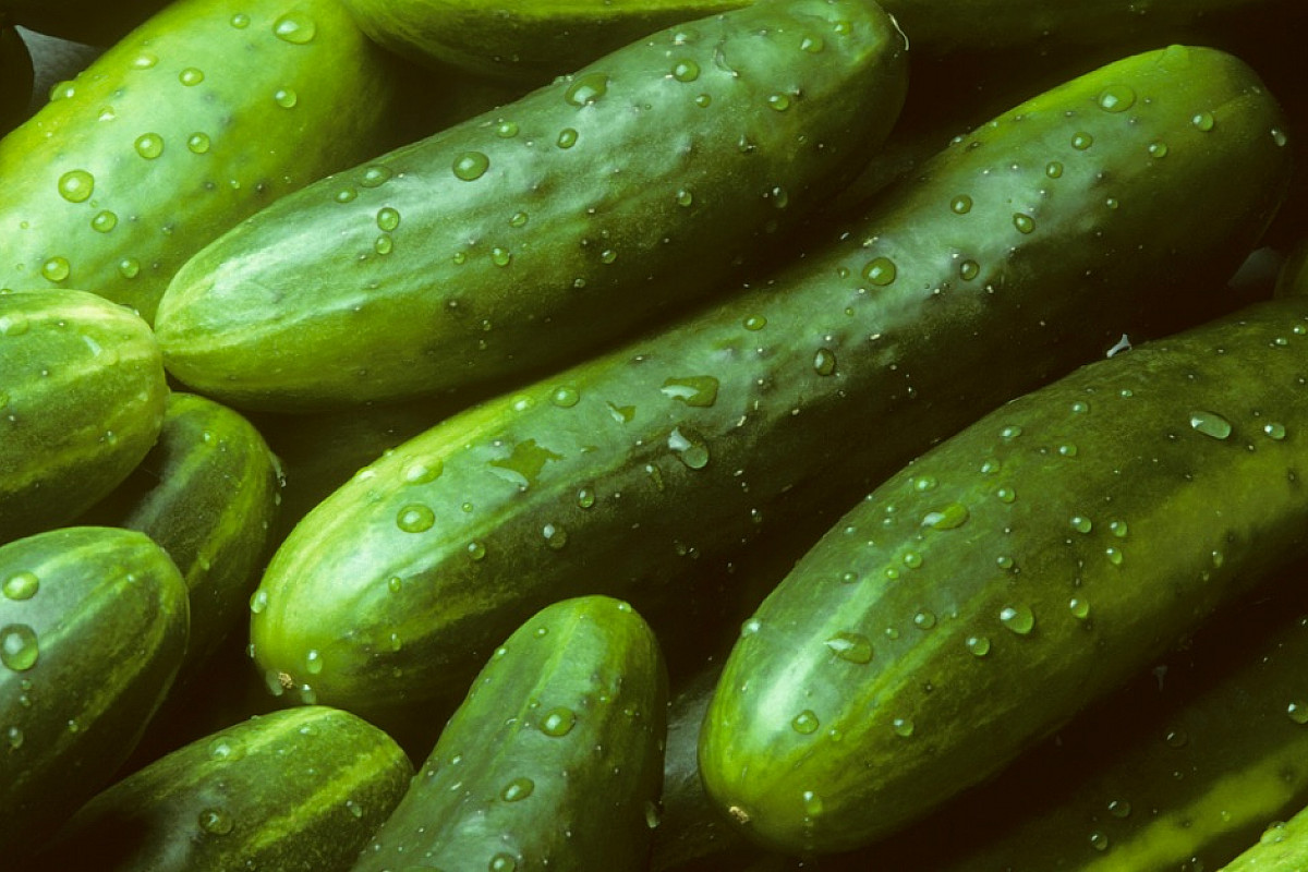 Sott'aceto o nell'insalata, ecco perché in Estate devi mangiare i ...