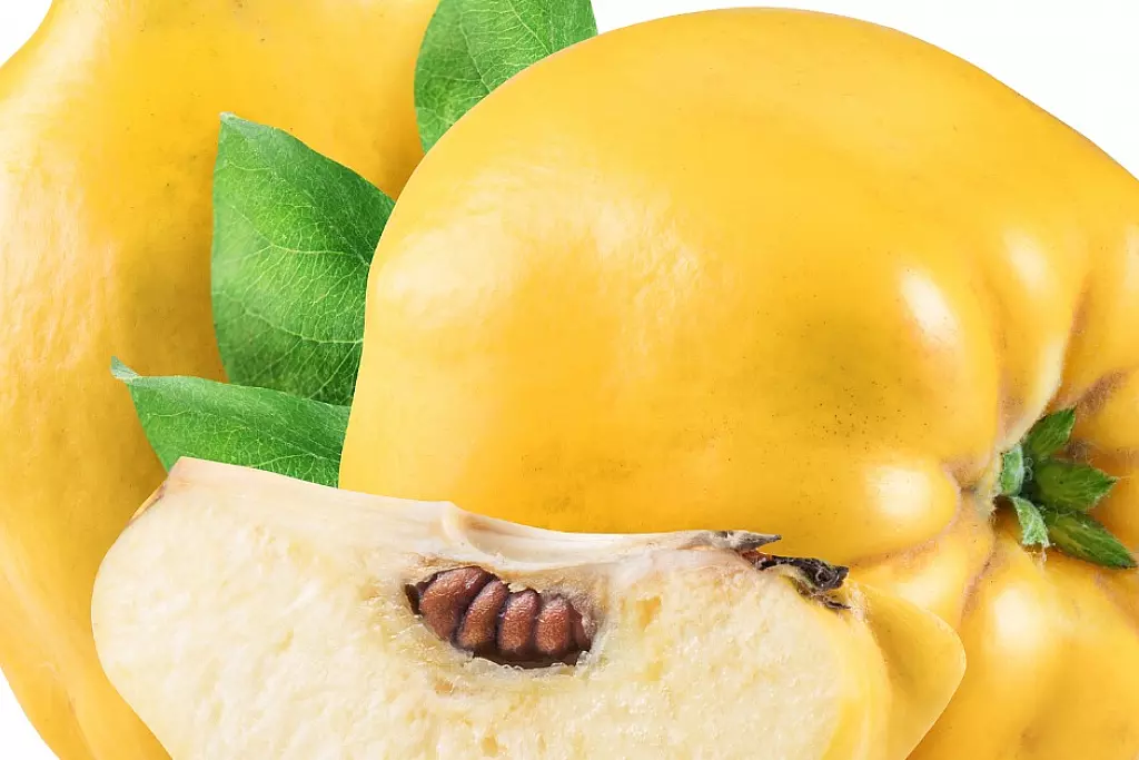 Un frutto d’oro dal sapore particolare che amerai: la mela cotogna ...