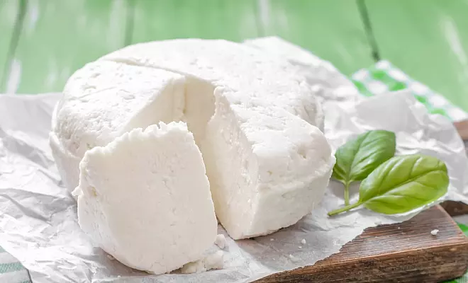 Formaggi magri: quali sono quelli da mangiare a dieta? | Paesi del Gusto