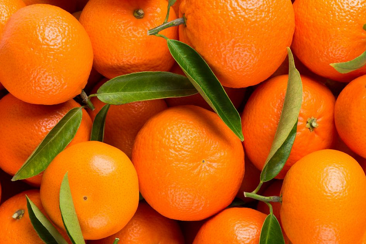 Quanti tipi di mandarino conosci? Eccone alcuni che devi provare | Paesi del Gusto