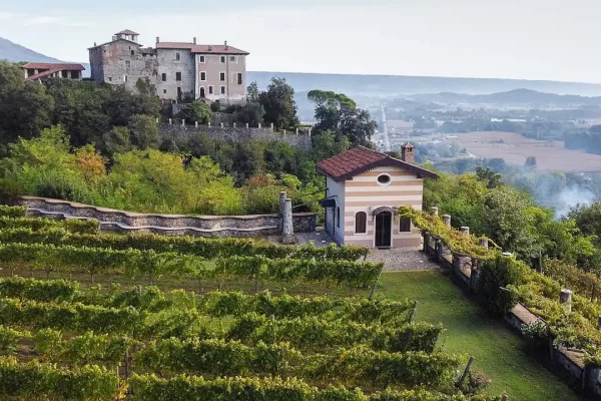 In Piemonte c'è una cantina dove rivive il mito di un vitigno ...