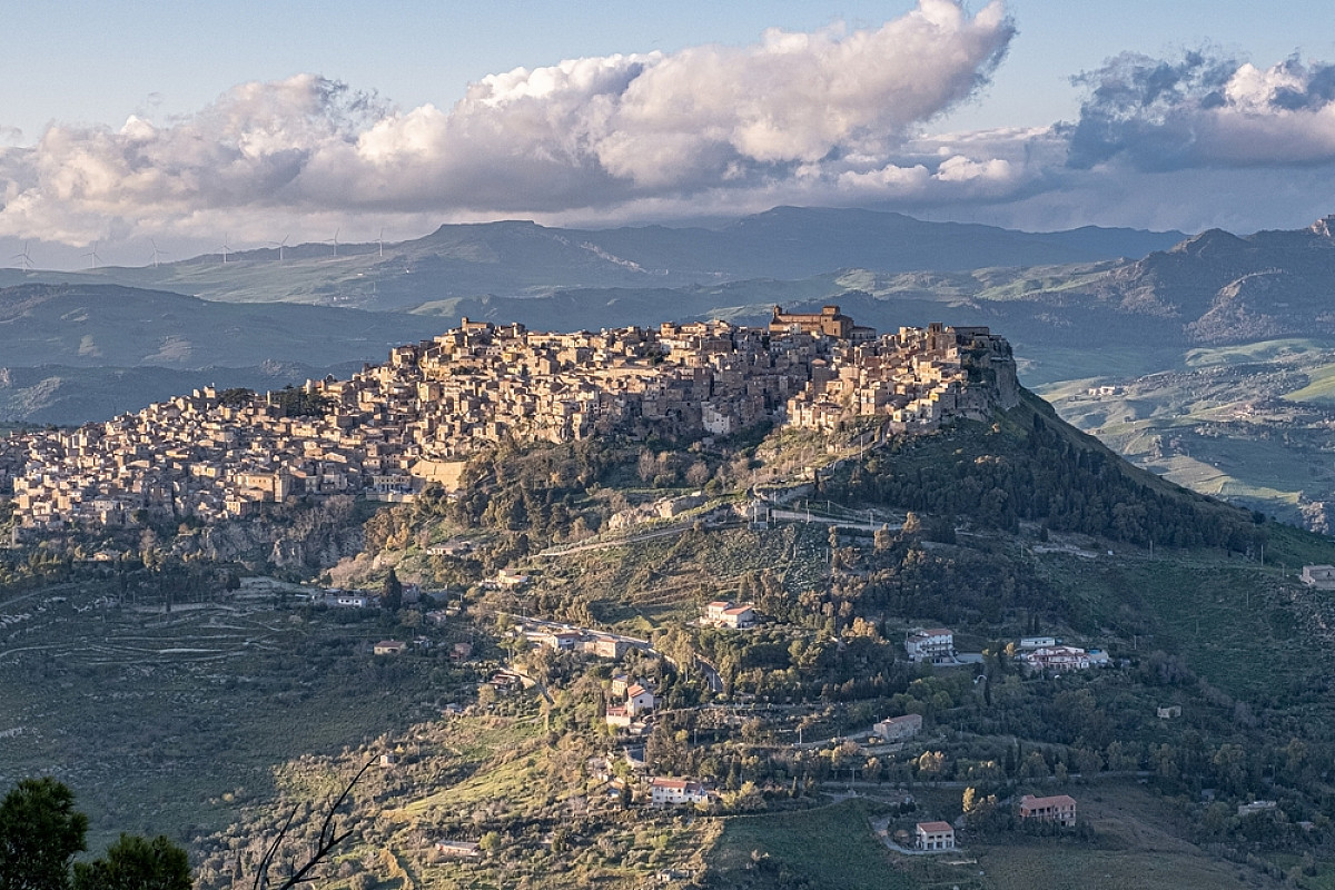 È in questa cittadina siciliana che nasce la fava più... turca d'Italia ...
