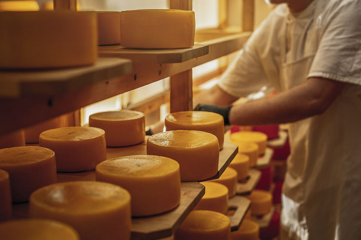 Caseifici Aperti 2025 alla storica Latteria Perenzin: date, orari e ...