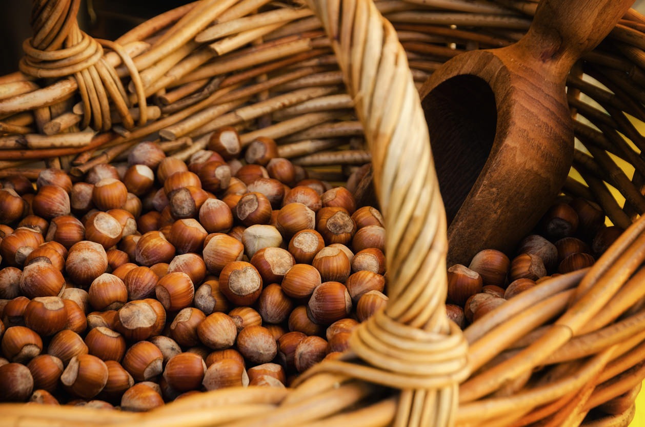 Nocciola Piemonte IGP | Paesi del Gusto