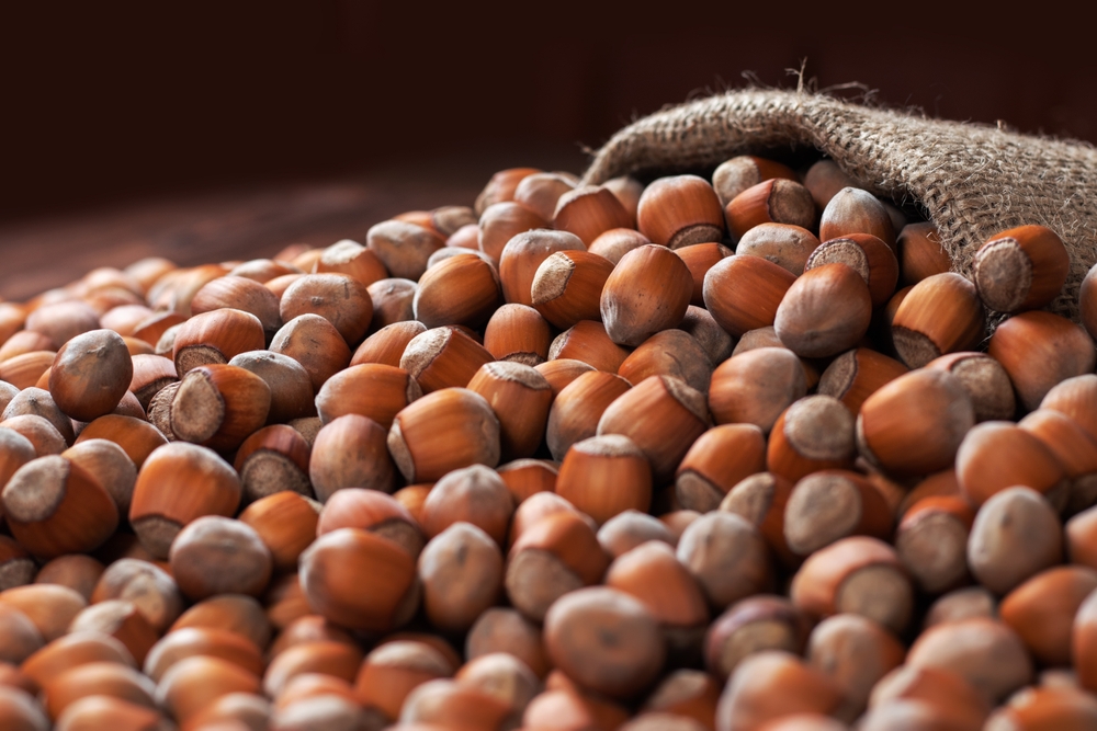 5 curiosità che non sai sulle Nocciole del Piemonte IGP: uno dei frutti ...