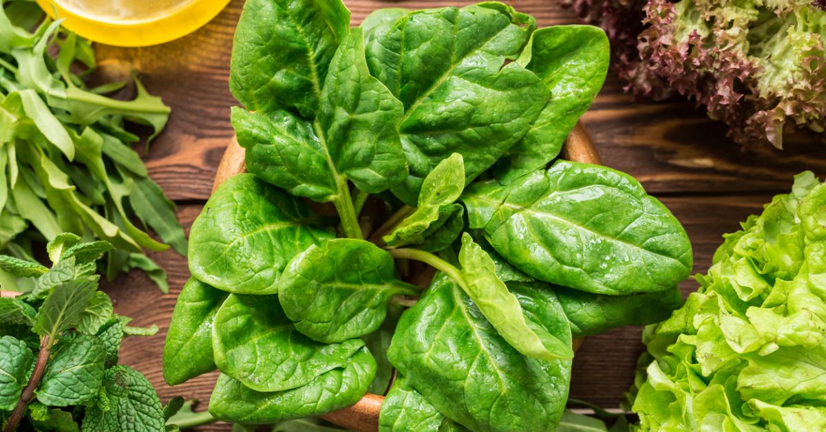 5 verdure che non dovrebbero mai mancare sulla tua tavola | Paesi del Gusto