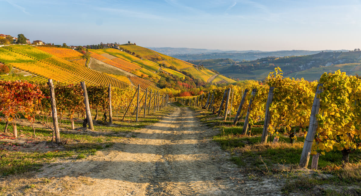 Strada del Vino dell’Alto Monferrato: tre percorsi golosi per una gita ...