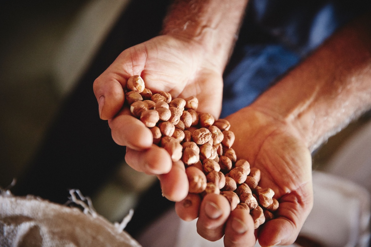 DOP, IGP e STG: cosa significano queste sigle garanzie di qualità