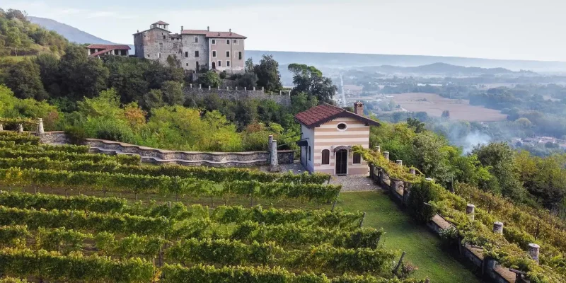 In Piemonte c'è una cantina dove rivive il mito di un vitigno ...